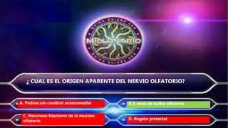 Act 7 pares craneales formato qm | PPTX
