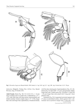 Three new records of copepods (Siphonostomatoida) parasitic on marine ...