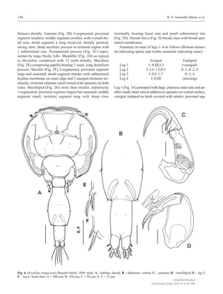 Three new records of copepods (Siphonostomatoida) parasitic on marine ...