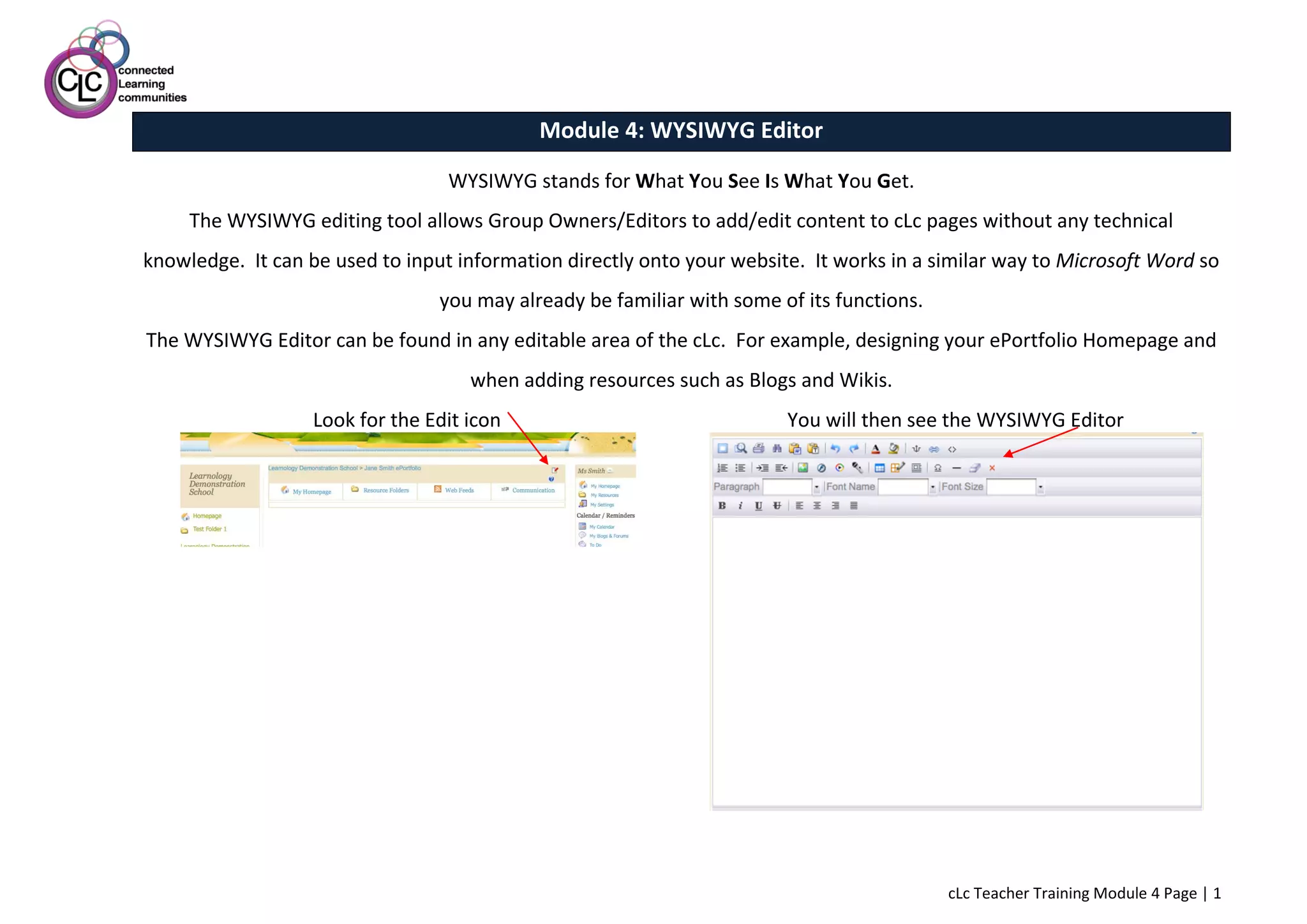 Module 4: The WYSIWYG Editor | PDF