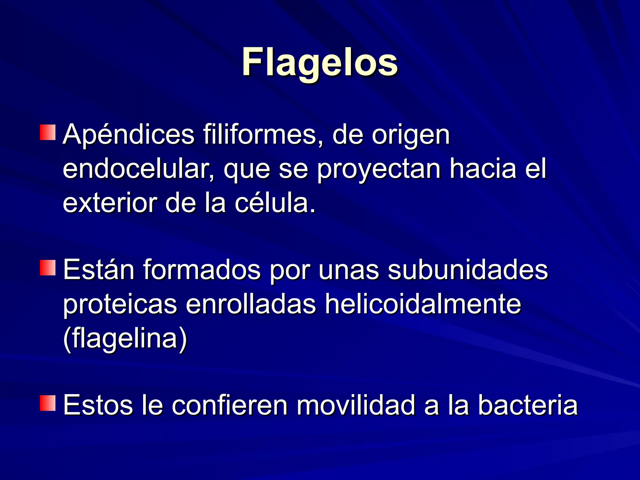Caracteristicas de las células eucarióticas | PPT