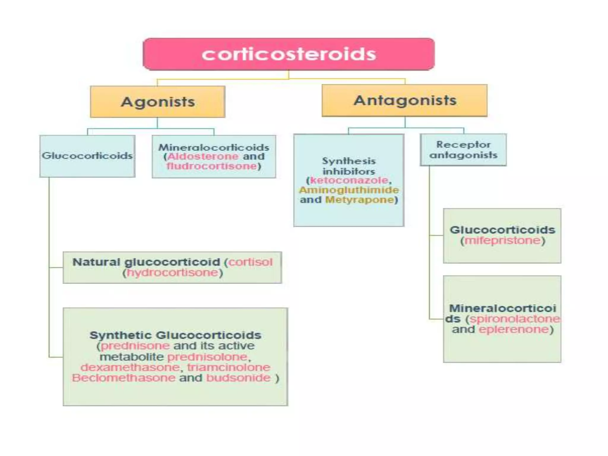 ACTH and Corticosteroids.ppt