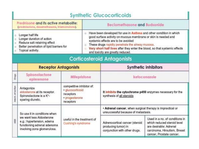 ACTH and Corticosteroids.ppt | Endocrine and Metabolic Diseases | Diseases and Conditions