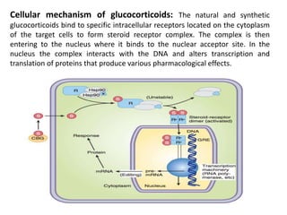 ACTH and Corticosteroids.ppt