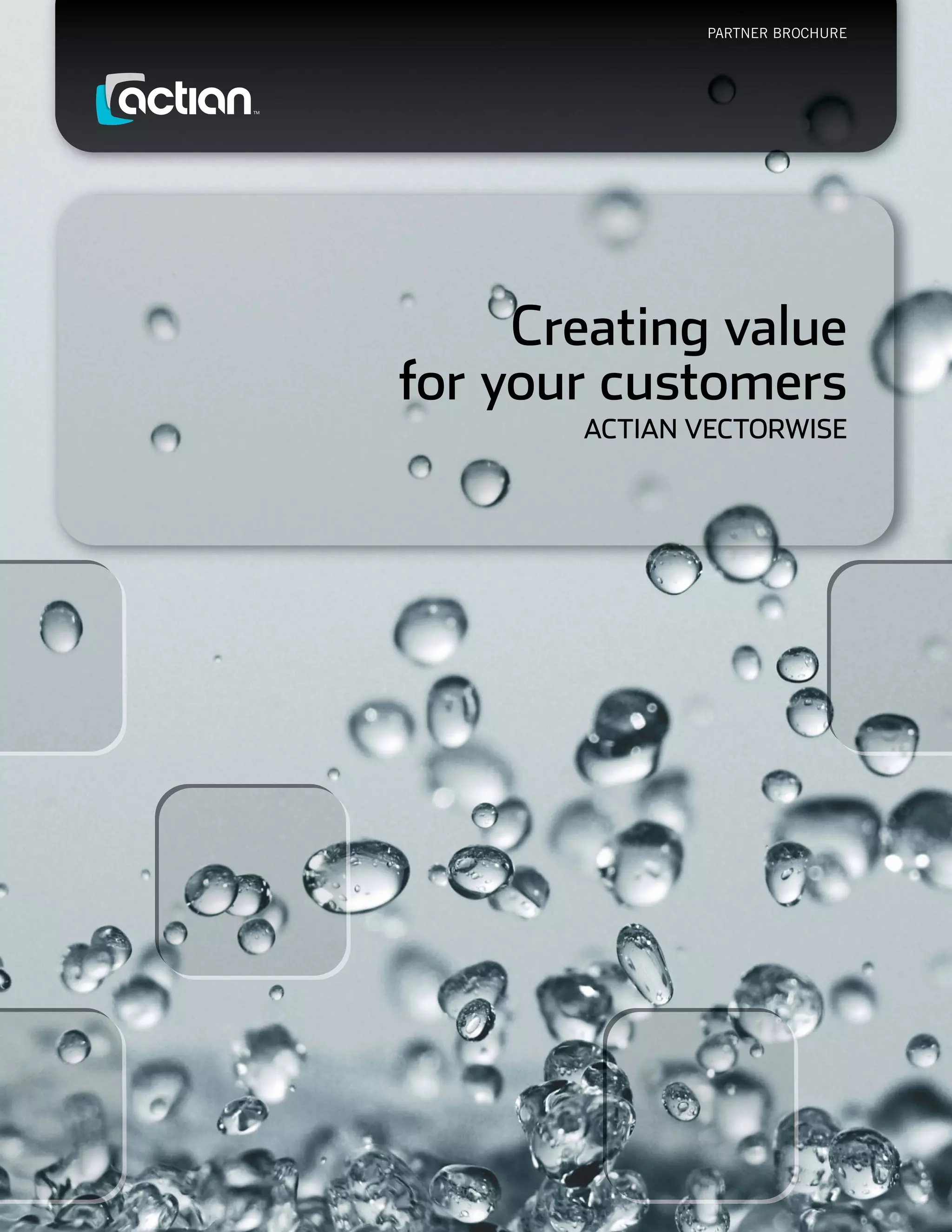 Actian Partner Brochure | PDF