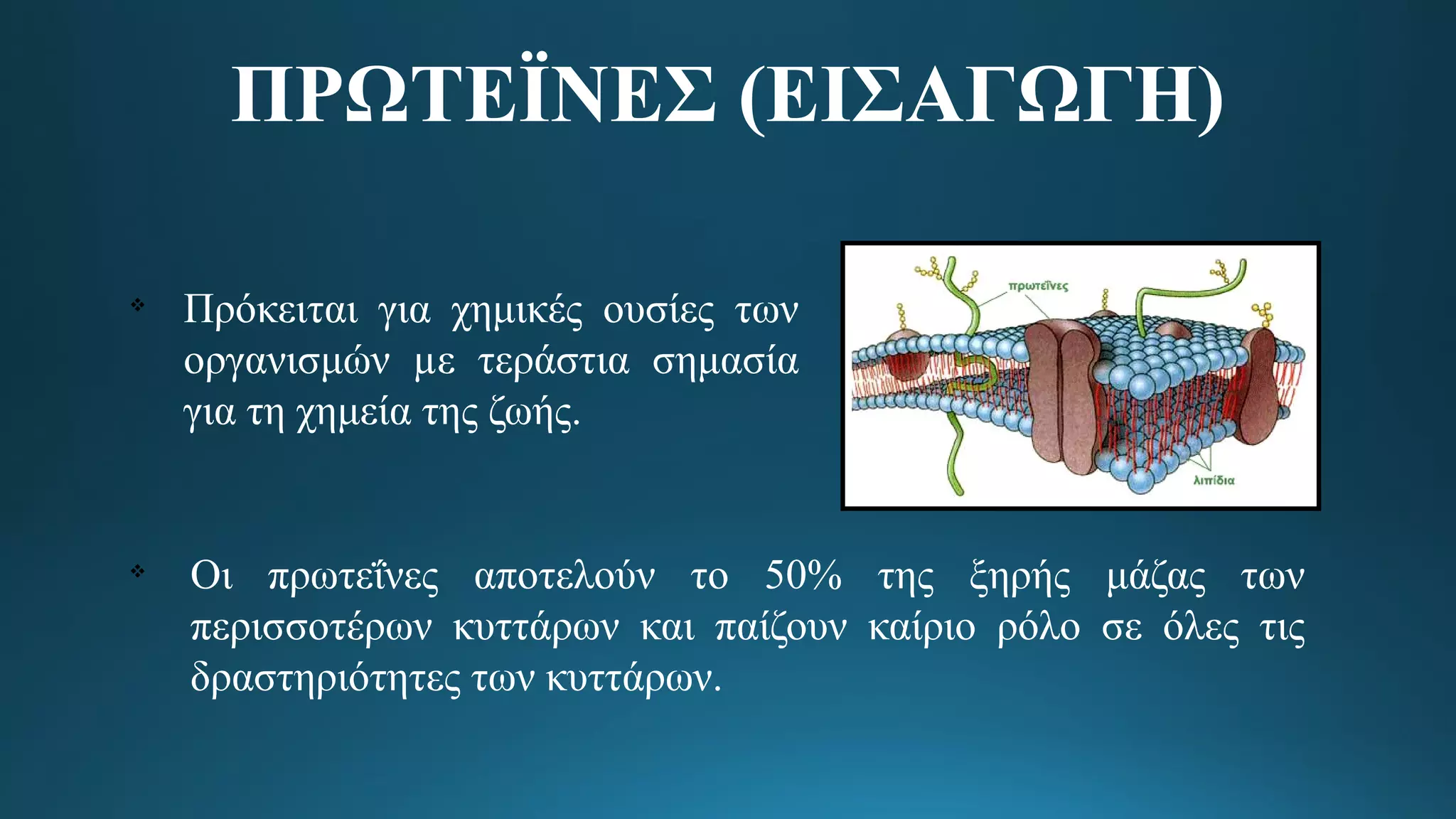 Ακτίνη και Μυοσίνη | PDF
