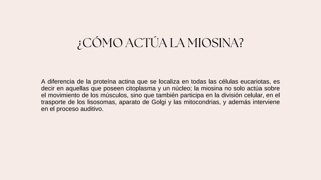 actina y miosina.pdf