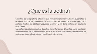 actina y miosina.pdf