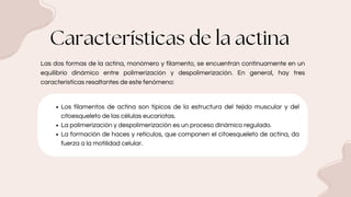 actina y miosina.pdf