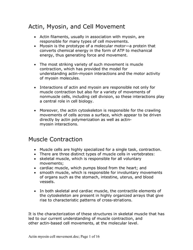 Actin, Myosin, and Cell Movement | PDF