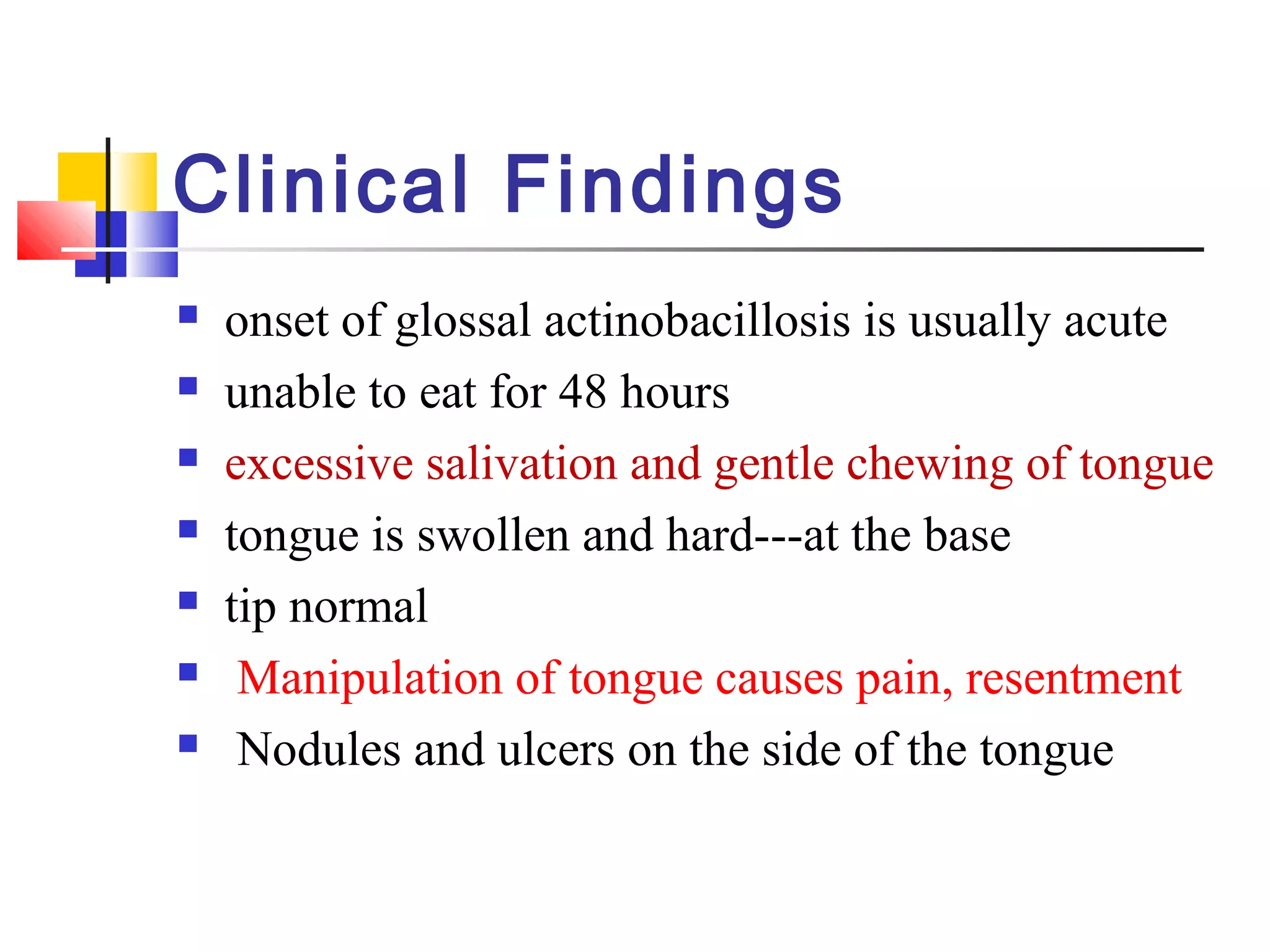 Actinobacillosis (wooden tongue) | PPT
