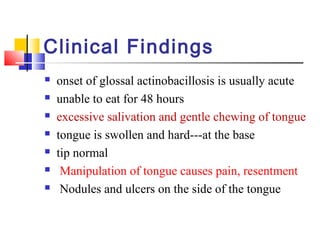 Actinobacillosis (wooden tongue) | PPT