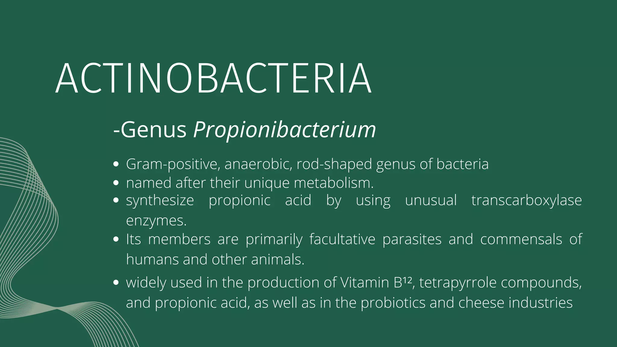 ACTINOBACTERIA-GRP1112.pdf