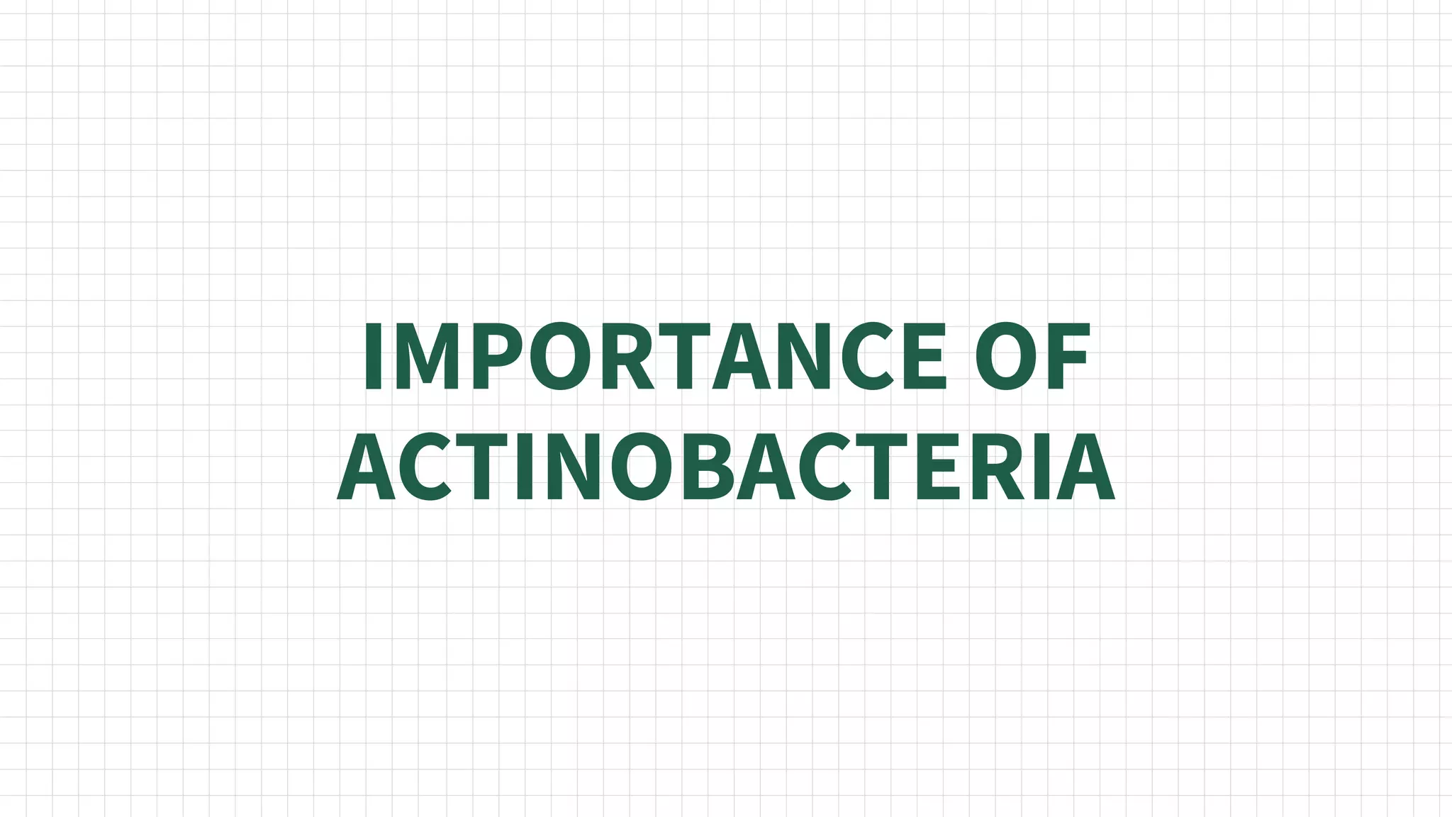 ACTINOBACTERIA-GRP1112.pdf