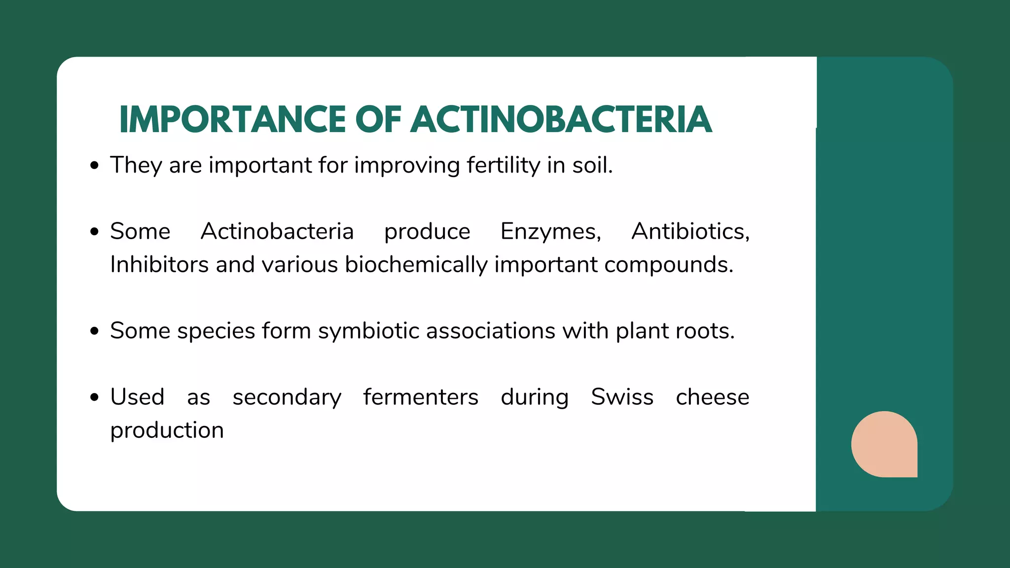 ACTINOBACTERIA-GRP1112.pdf