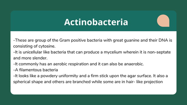 ACTINOBACTERIA-GRP1112.pdf | Gardening | Home & Garden