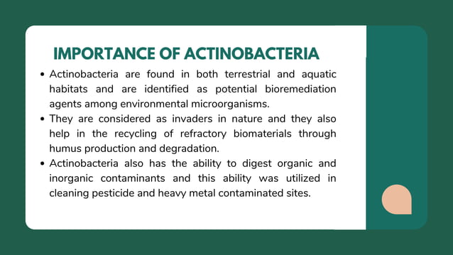 ACTINOBACTERIA-GRP1112.pdf | Gardening | Home & Garden