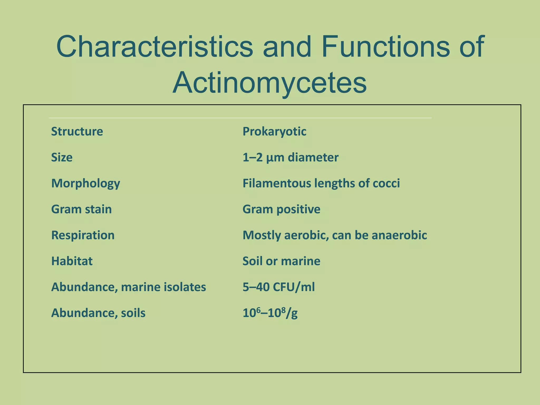 Actinomyces | PPTX