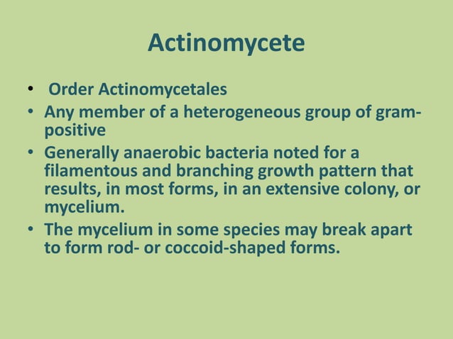 Actinomyces | PPTX | Biological Sciences | Science