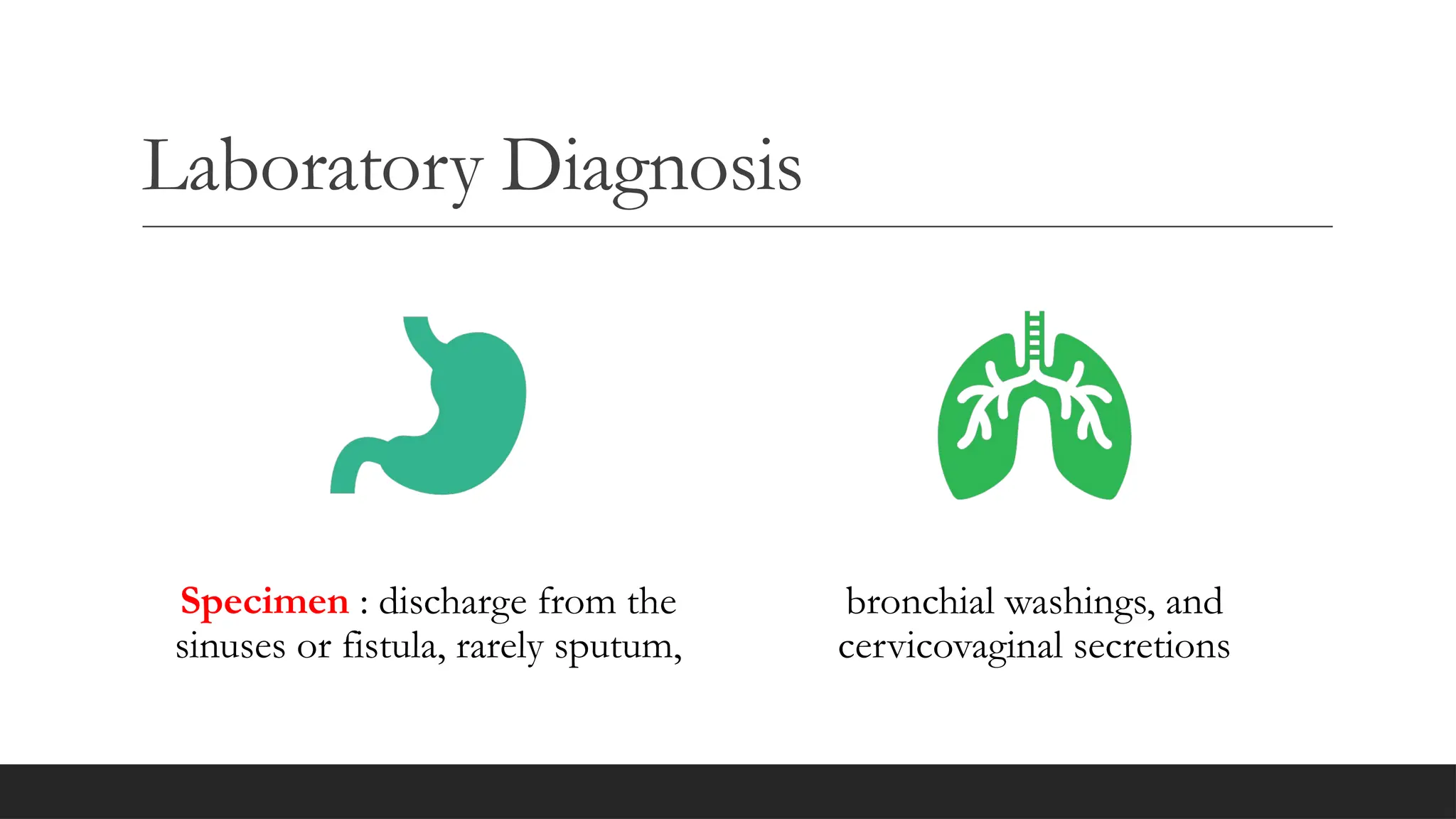 Actinomyces For Bachelor Of Dental Surgery Pptx Pptx