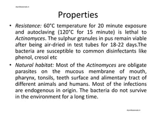 Actinomyces and Nocardia.pdf