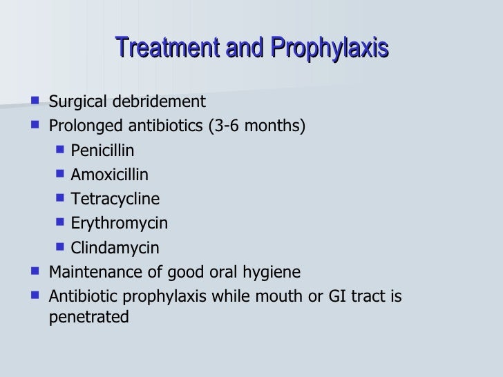 Actinomyces + nocardia