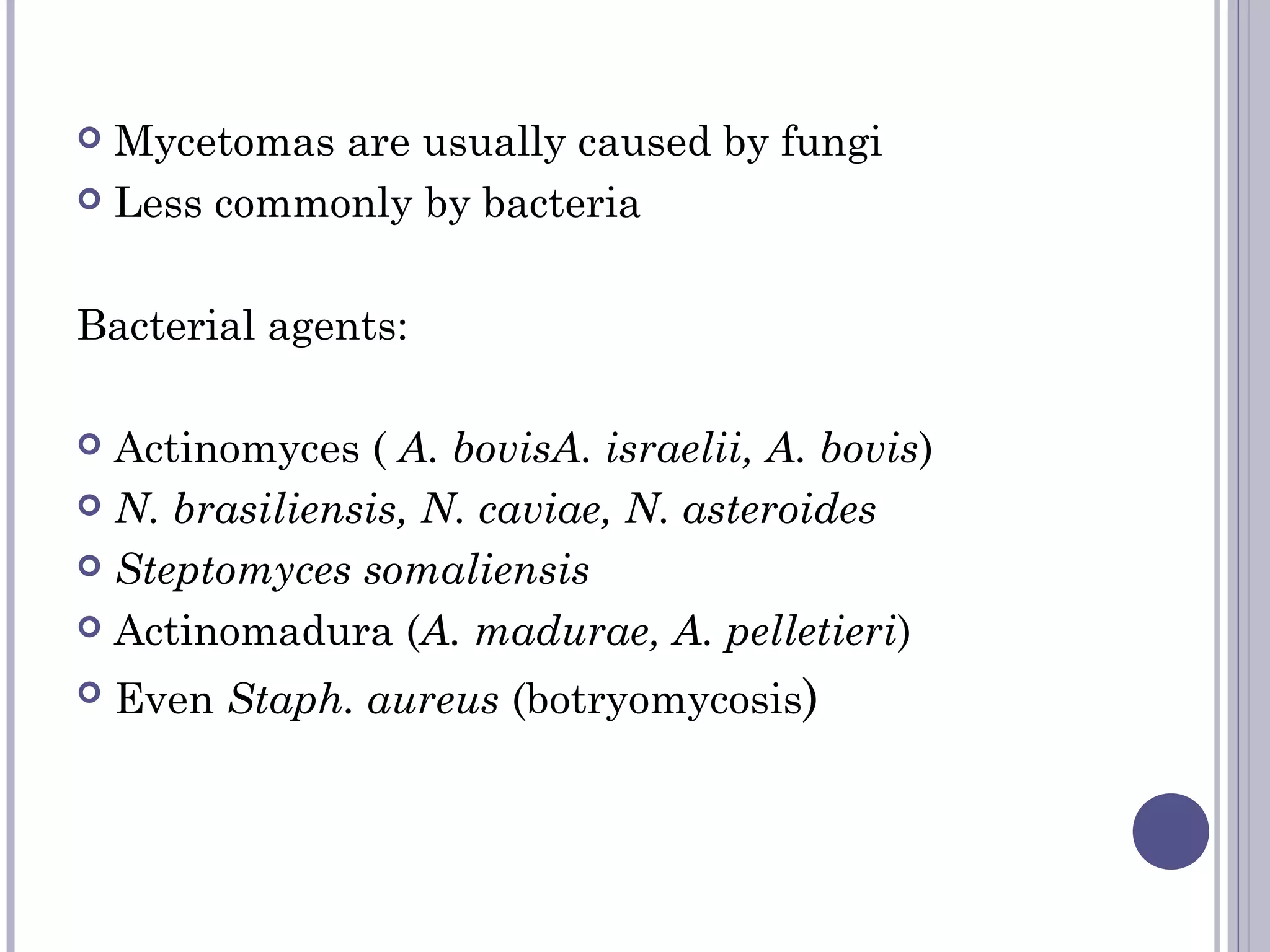 Actinomycetes | PPT