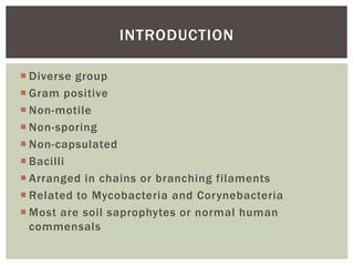 Actinomycetes | PPTX