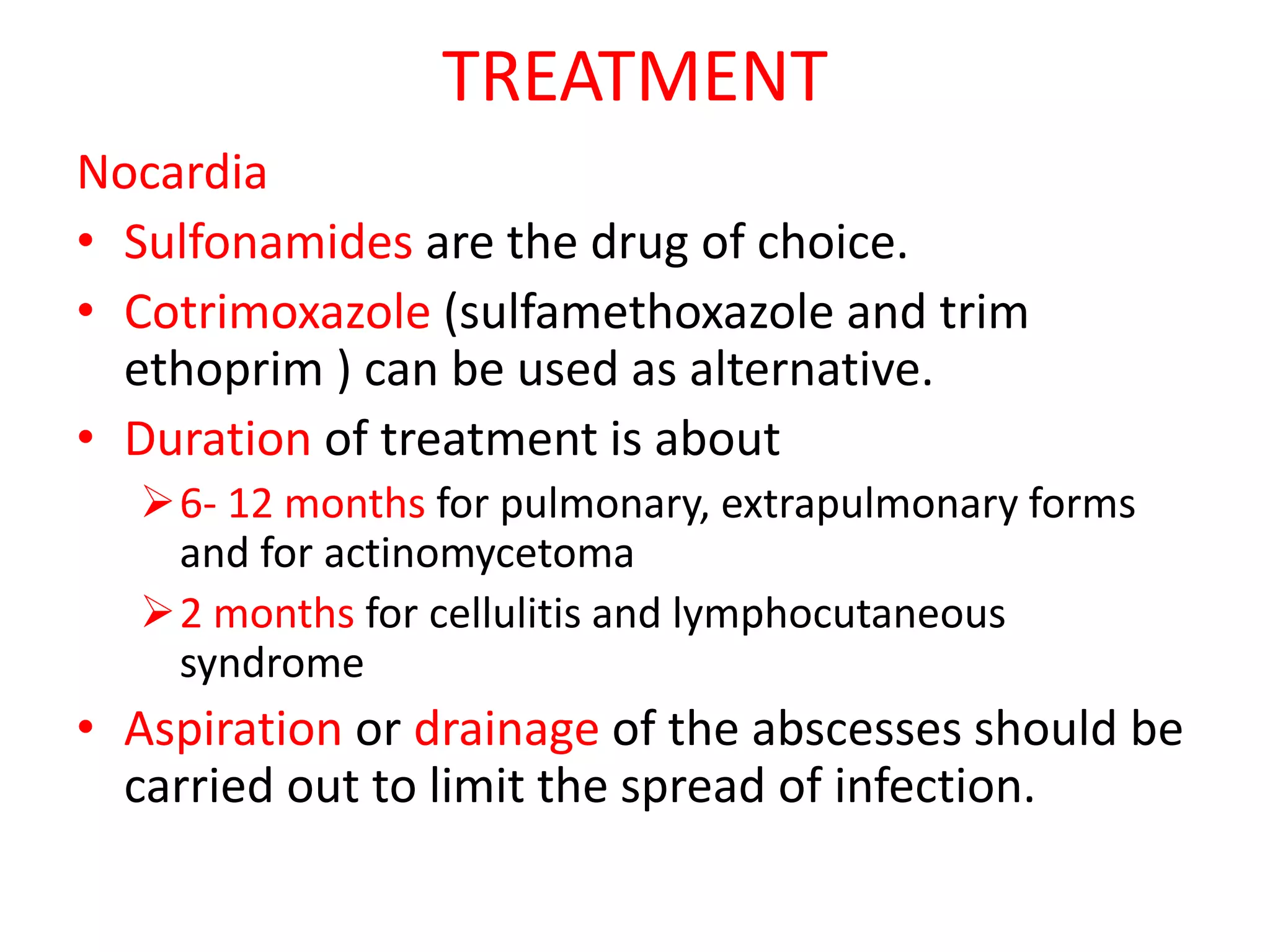 Actinomycetes | PPTX