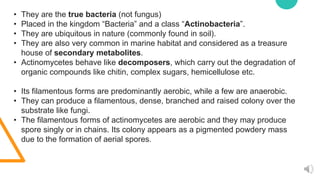 ACTINOMYCETES.pptx