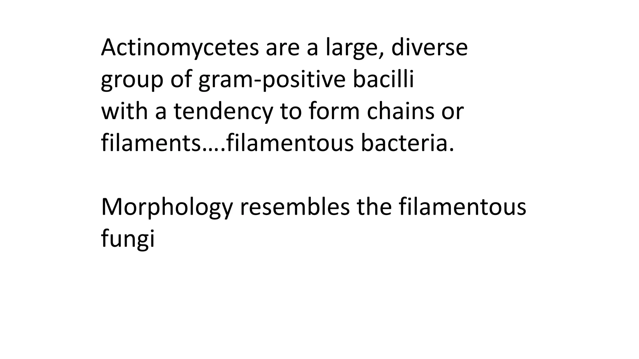 Actinomycetes for health and medical microbiology | PPTX