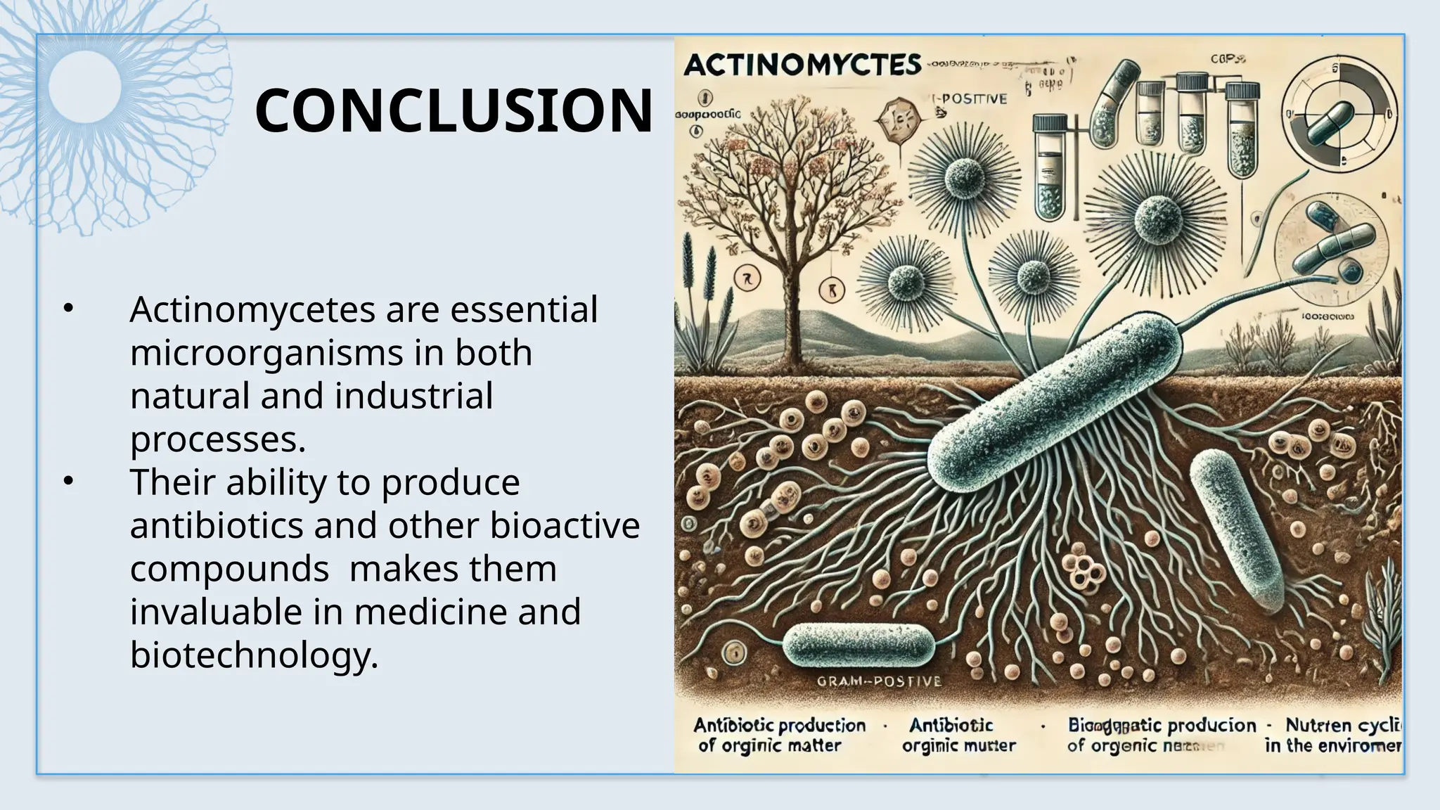 GENERAL PROPERTIES OF ACTINOMYCETES.pptx