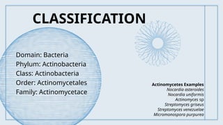 GENERAL PROPERTIES OF ACTINOMYCETES.pptx