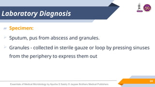 Actinomycetes infection in humans12.pptx