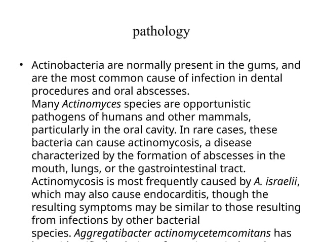 Actinomycetes.pptx...microbiology......... | PPTX