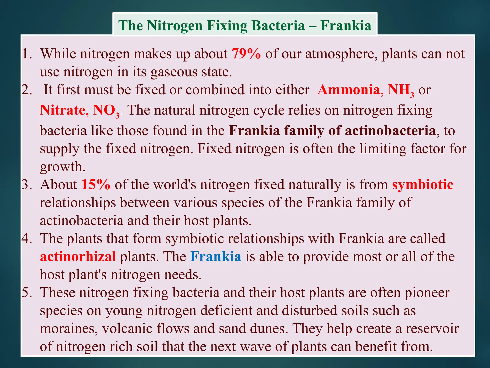 Actinomycetes Presentation - Microbiology | PPTX