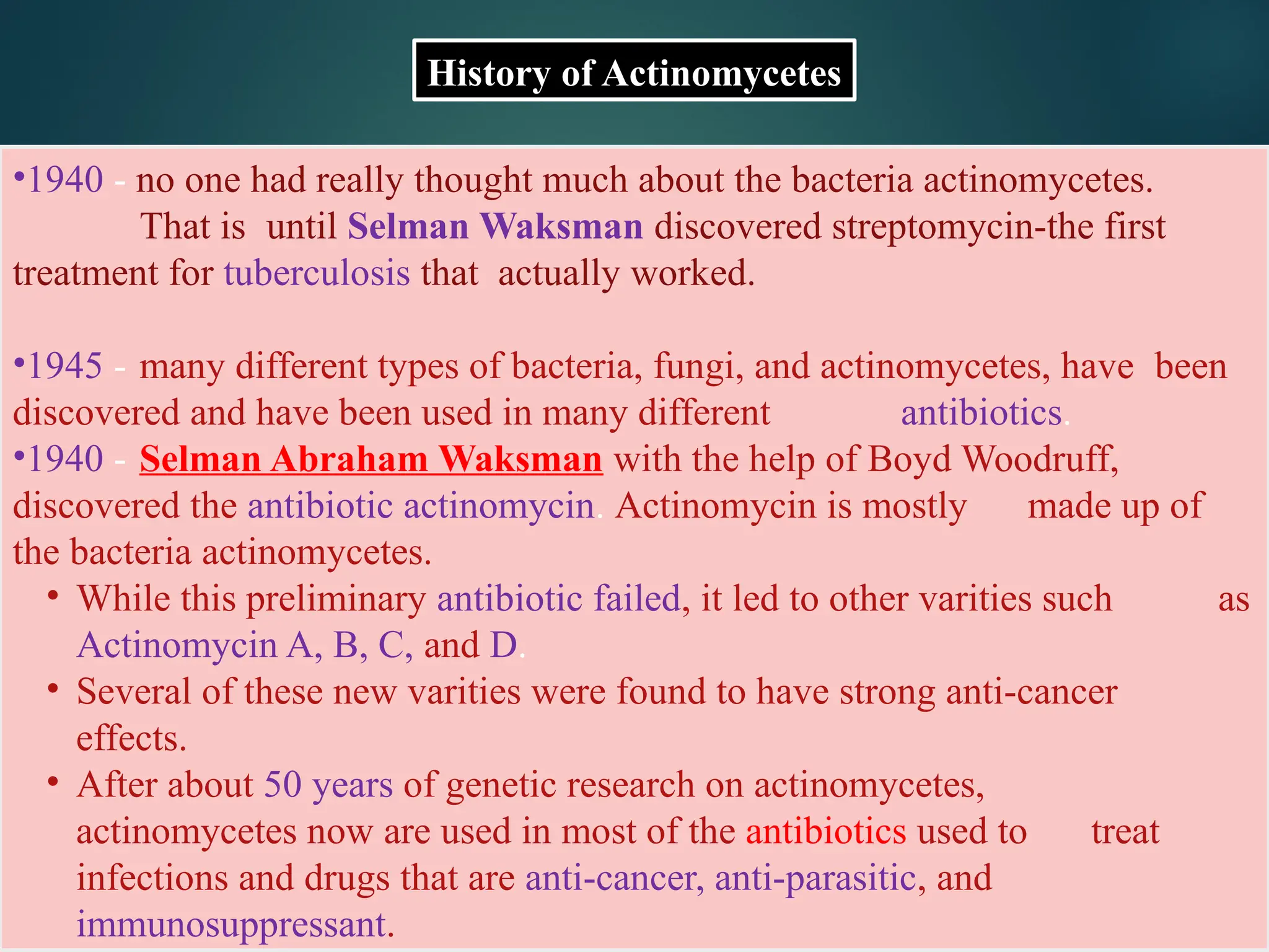 Actinomycetes Presentation - Microbiology | PPTX