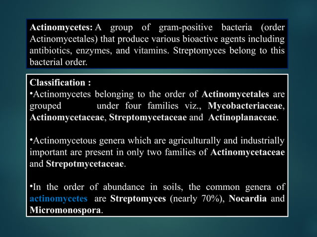 Actinomycetes Presentation - Microbiology | PPTX