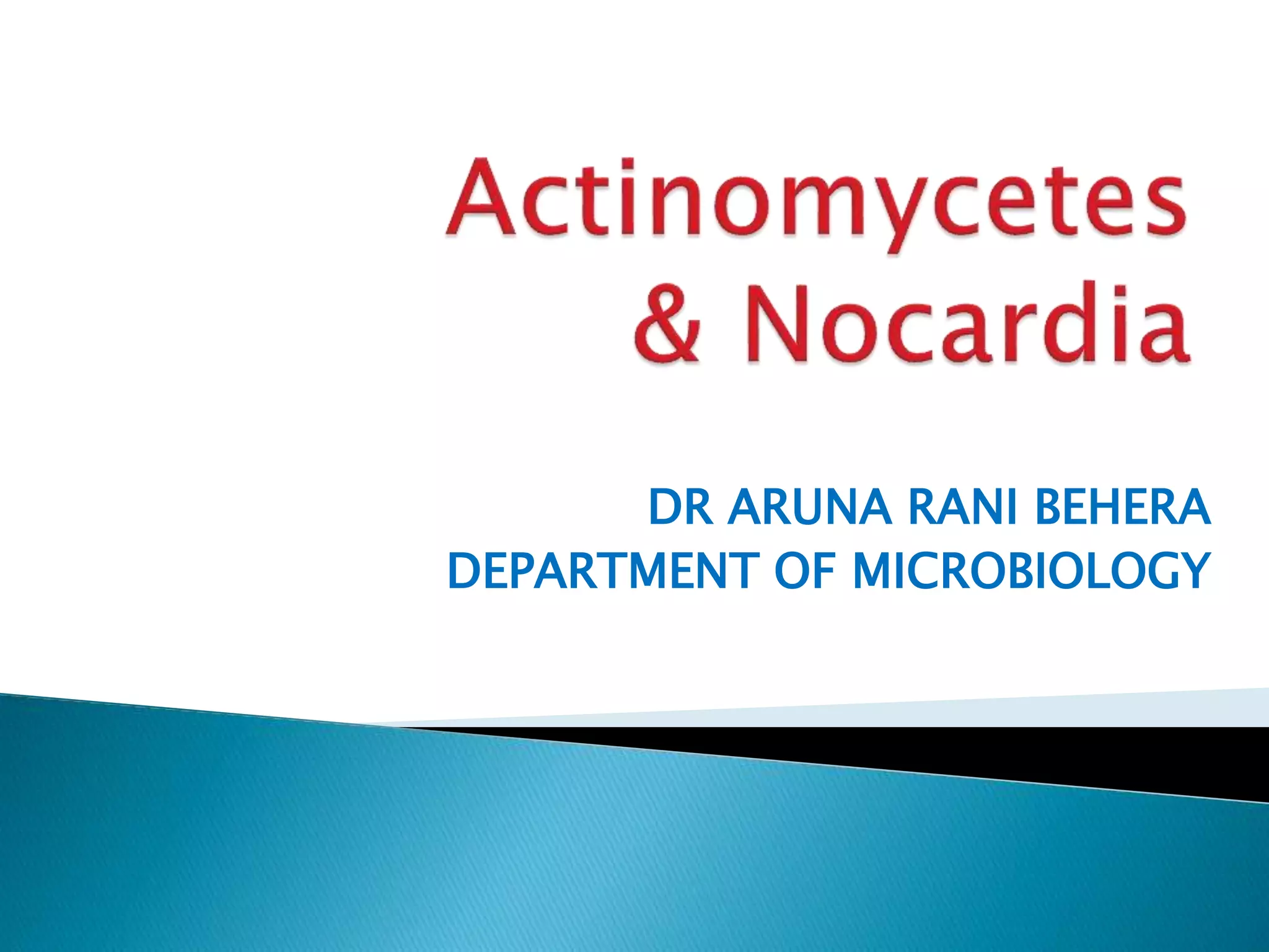 Actinomycetes and Nocardia | PPTX