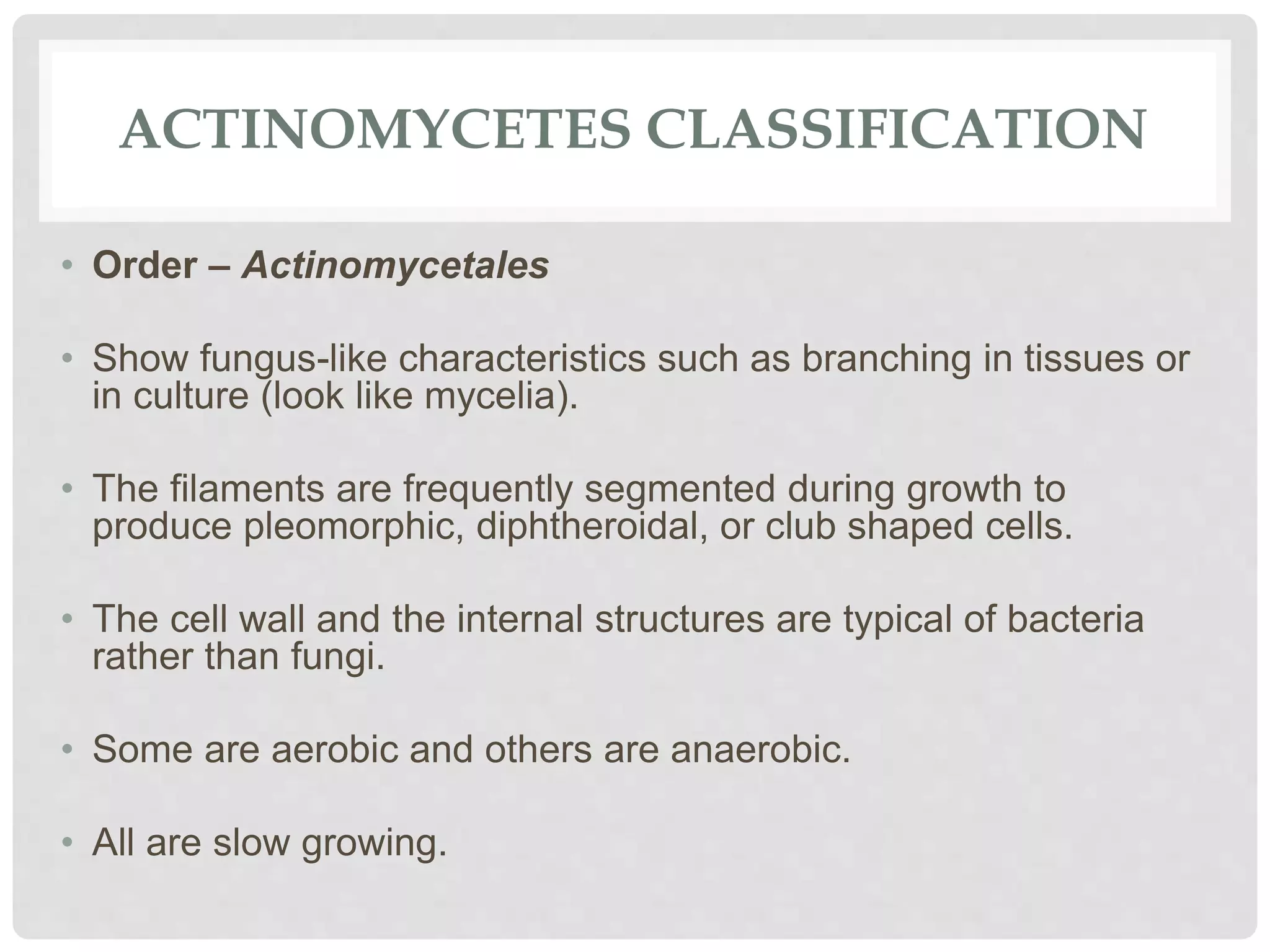 Actinomycetes and Nocardia | PPTX