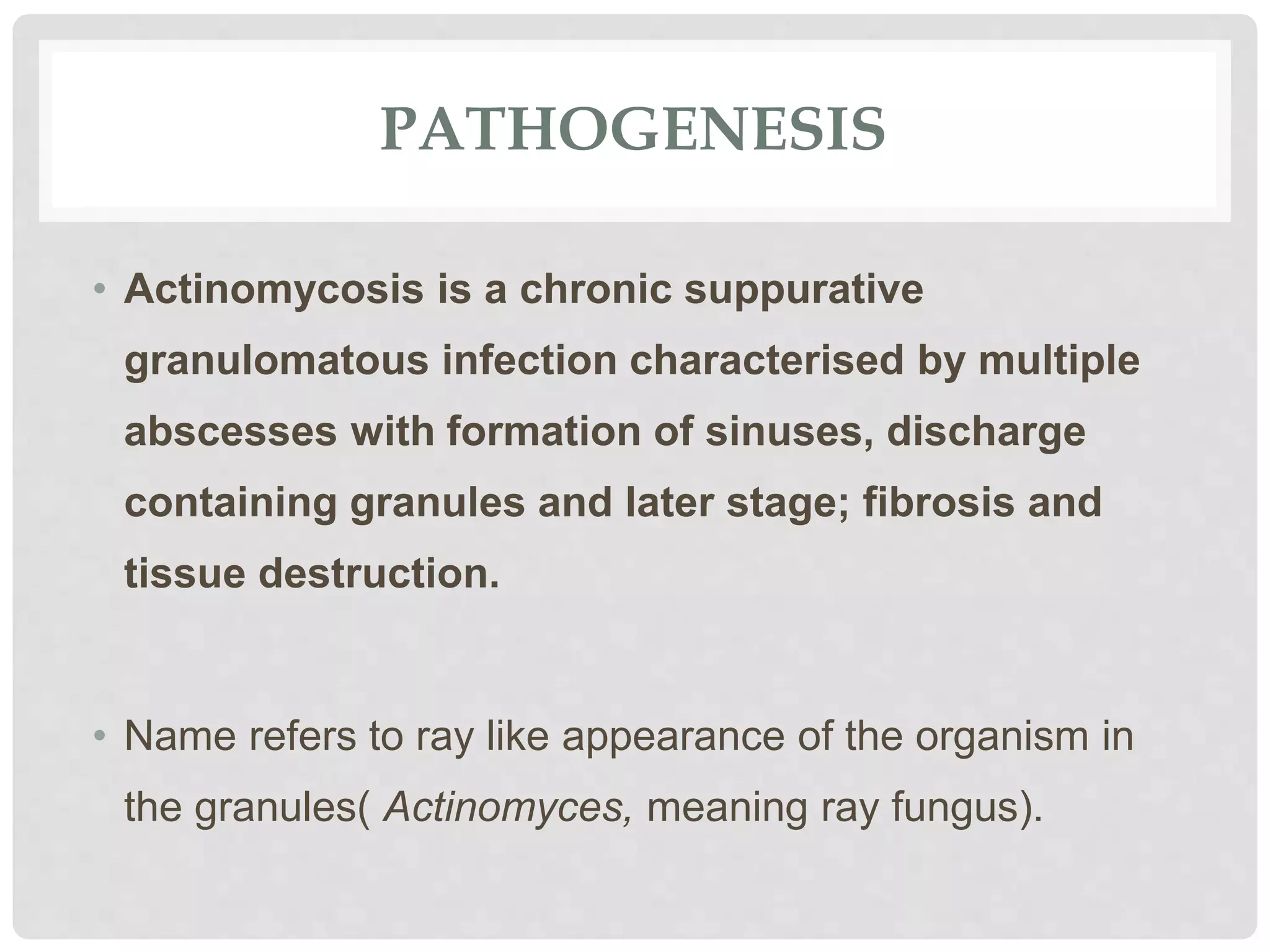 Actinomycetes and Nocardia | PPTX