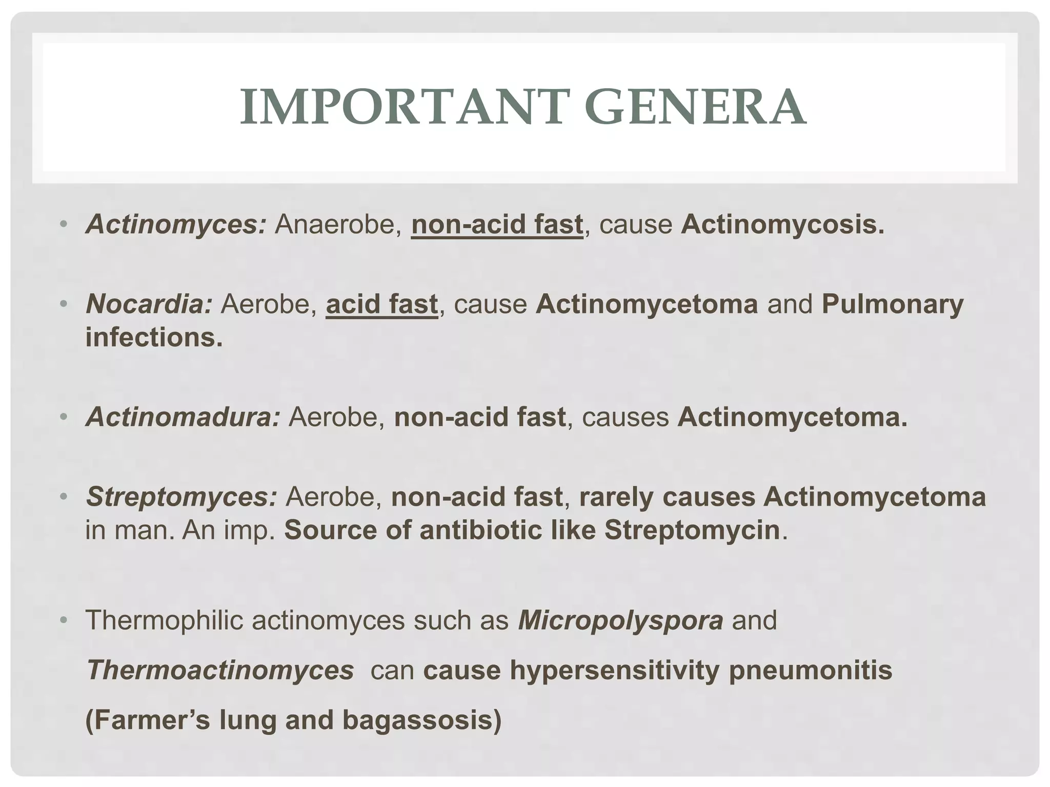Actinomycetes and Nocardia | PPTX