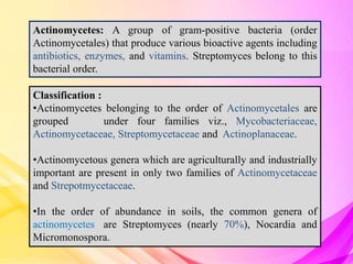 Actinomycetes | PPTX