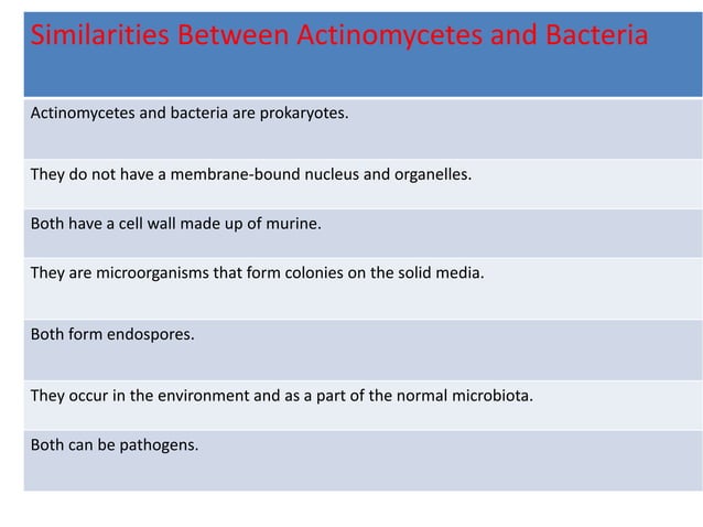 actinomycetes bacteria lecture / teaching notes | PPT
