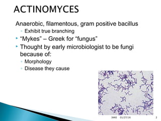 Actinomycosis & Norcardiosis | PPT