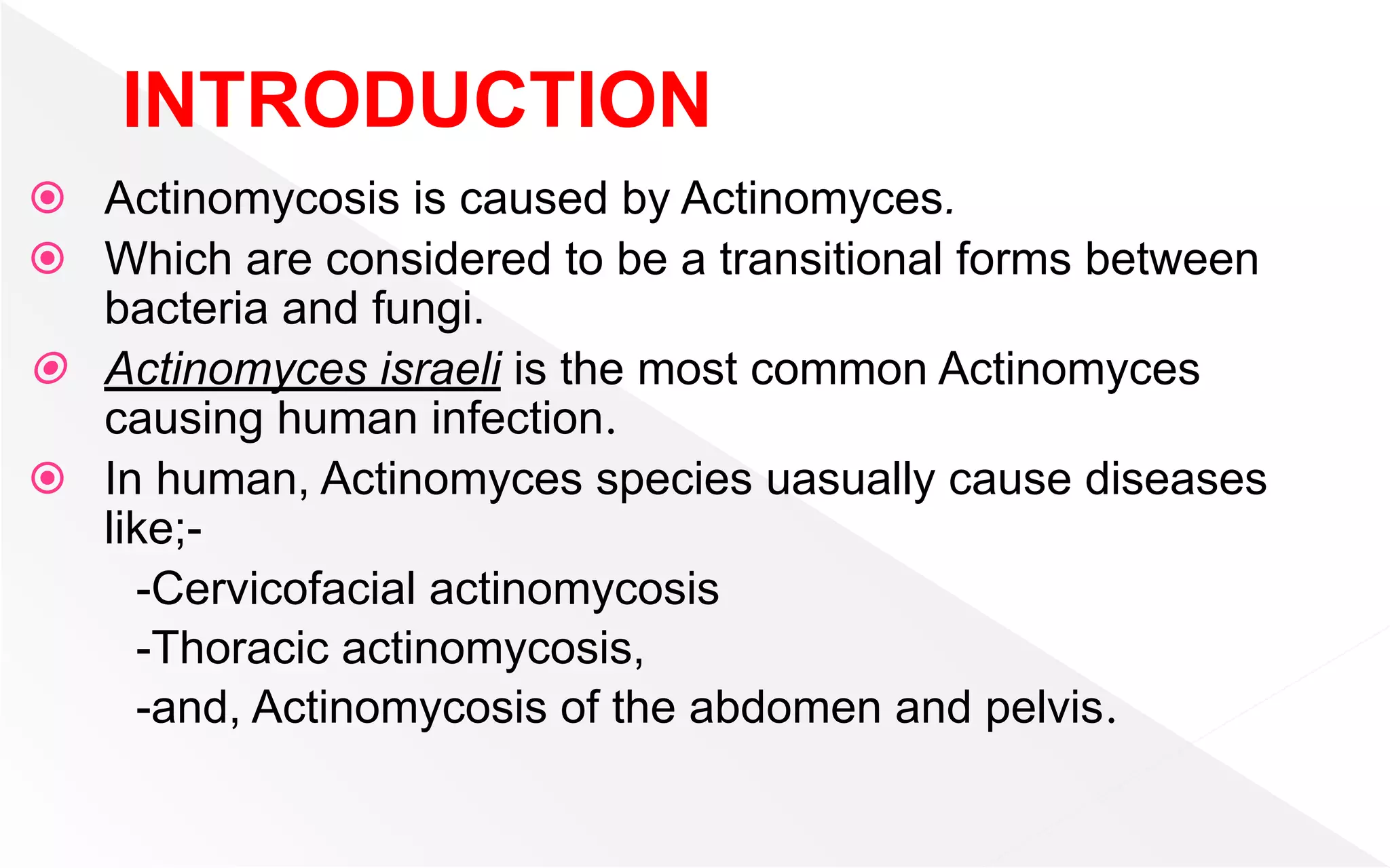 Actinomycosis | PDF | Ear, Nose and Throat Conditions | Diseases and ...