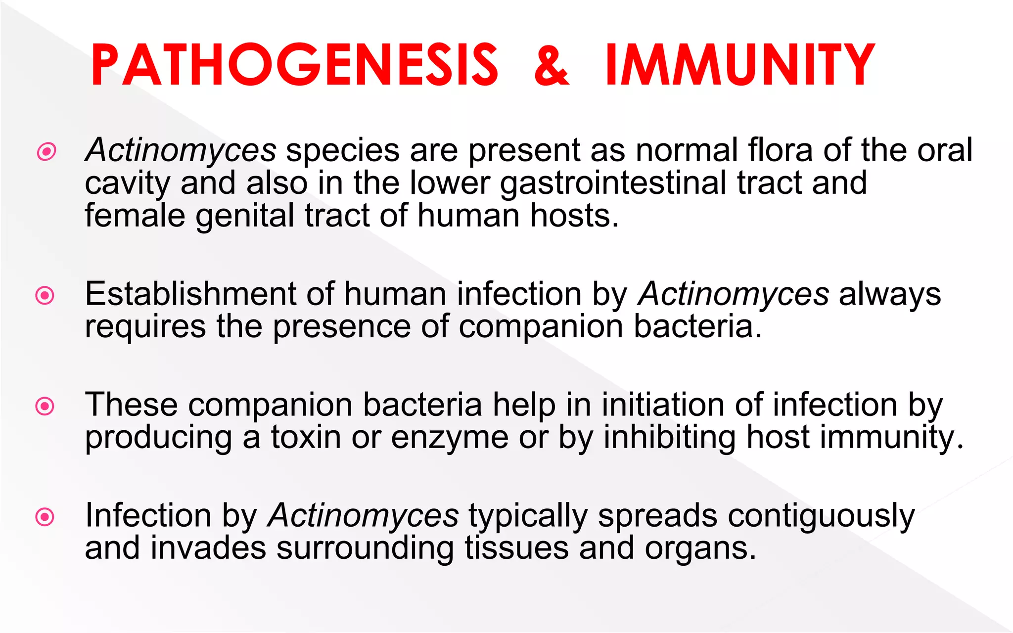 Actinomycosis | PDF