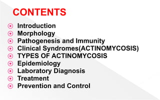 Actinomycosis | PDF