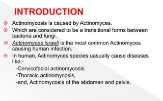 Actinomycosis | PDF