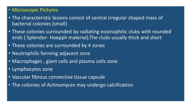Actinomycosis (Lumpy Jaw) | PDF